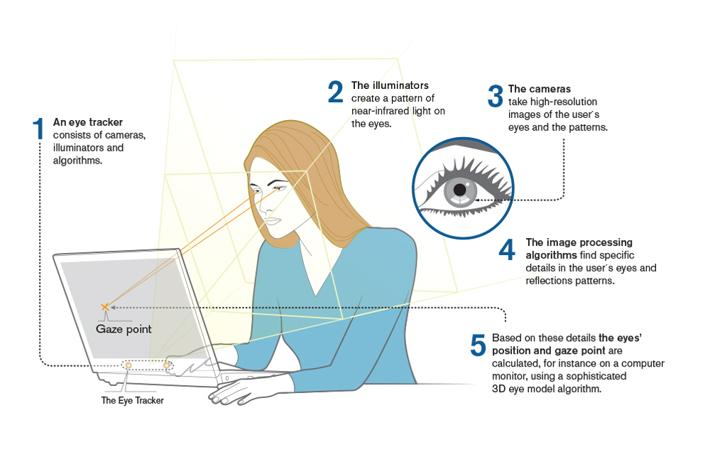 How Does The Calibration Work Tobii Help Center